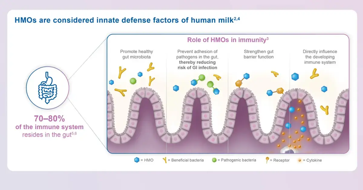 Role of HMOs on Infant Immune Health and Association with Cognition ...