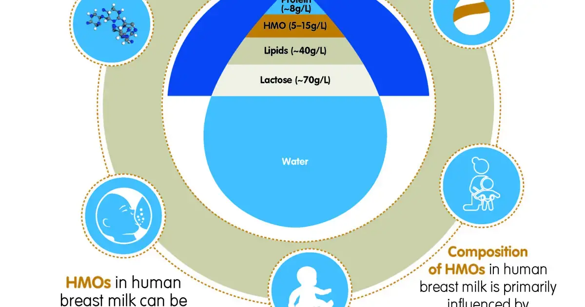 All about Human Milk Oligosaccharides | Wyeth Nutrition Science Center ...